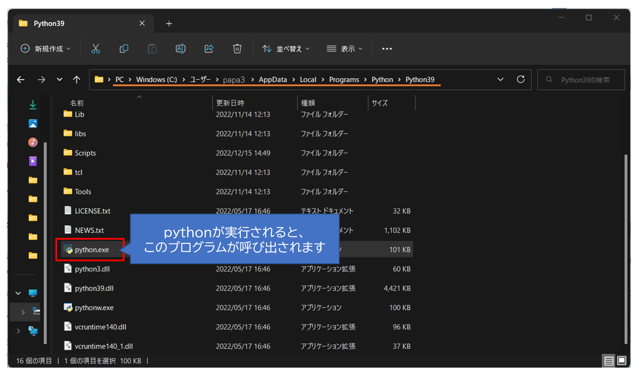 【ざっくり解説】py.exeって何？ - 【ゼロ→イチ】プログラミング情報サイト