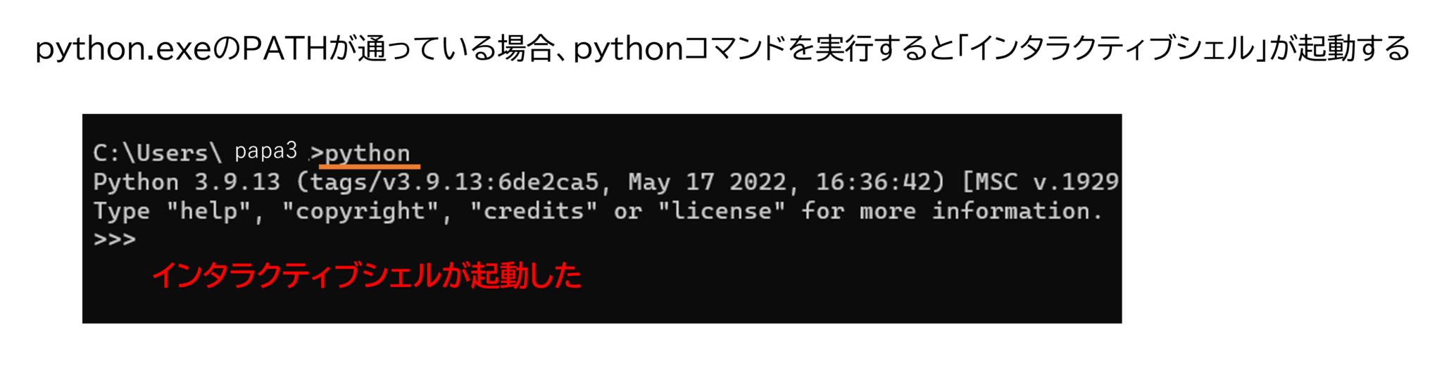 【ざっくり解説】py.exeって何？ - 【ゼロ→イチ】プログラミング情報サイト